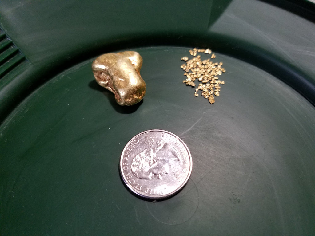 Dutchman's 'SECRET NUGGET' Gold Paydirt - Gold Prospecting Concentrate ...