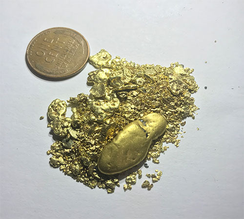 *TROGO* Flawless '$5,000 GOLD NUGGET DISCOVERY' - Gold Panning Paydirt ...