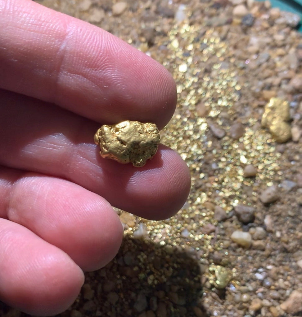 *Summer 2020* NUGGET RESERVE '3 Ounce Nugget Hunt' - Gold Paydirt Conc ...